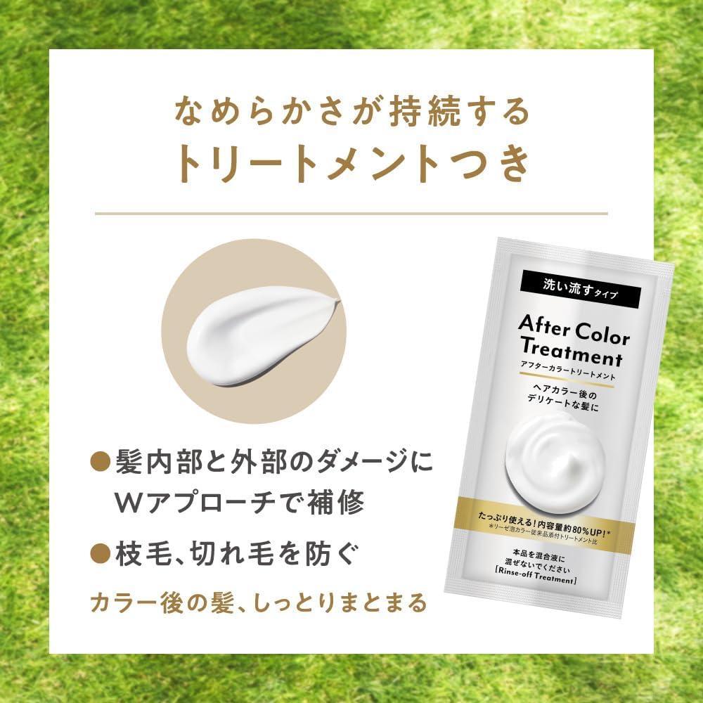 Kao Liese Bubble Color – Tao's